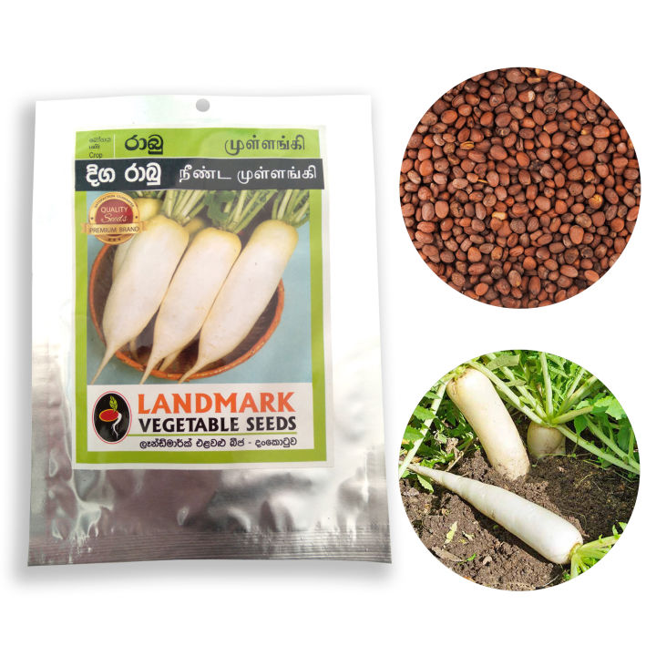 Diga Raabu Beeja, Long Radish, 10 Grams | Daraz.lk