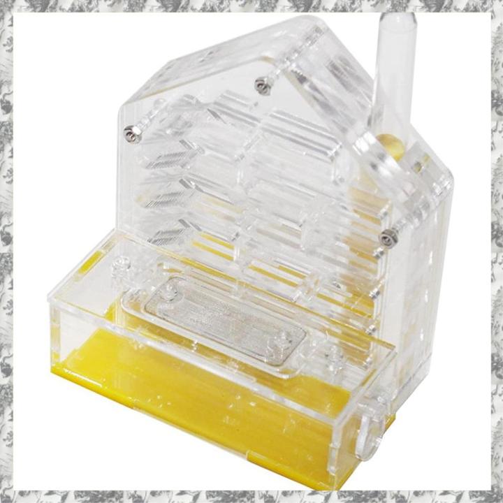 Ant Nest Ant Farm Acrylic Farm Insect Cage Display Space for Ant ...