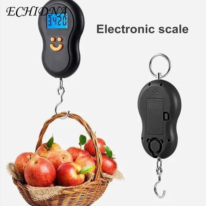Portable Hanging Scale Portable 50kg Electronic Scale for Home Travel ...