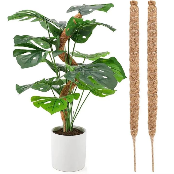 1Pcs New Coconut Shell Moss Palm Cane Coir Totem Poles Stretch Bendable ...