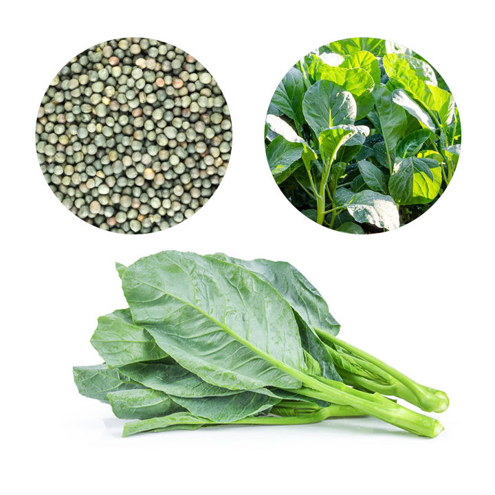 Chinese Kale DARA Seeds, Athu Gowa Beeja, 10g | Daraz.lk