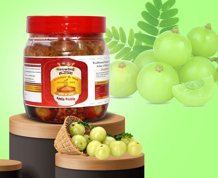 Growing Villagers Gooseberry Pickle Homemade Amla Achar | Traditional ...