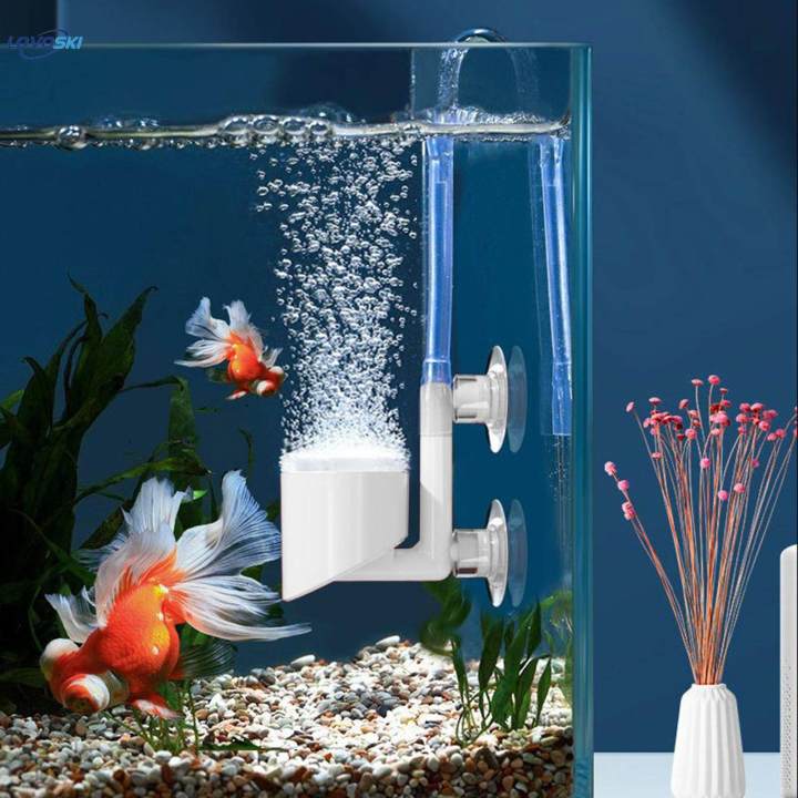 Aquarium Round Quiet with Suction Cup Dissolving Oxygen Diffuser | Daraz.lk