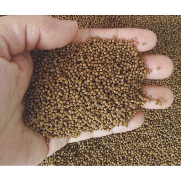 1Mm High Protien Floating Fish Food (500G) | Daraz.lk