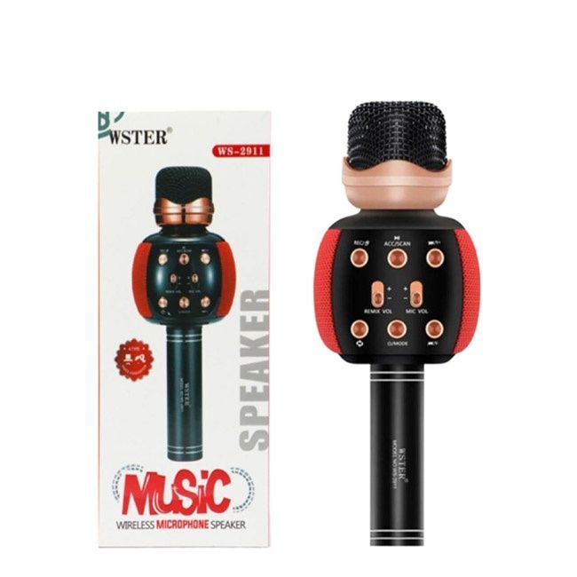 WSTER WS-2911 Wireless Karaoke Microphone with Speaker | Daraz.lk