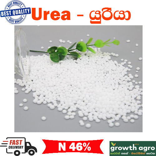 Urea Fertilizer (යුරියා පොහොර) High N- 46% Nitrogen Home Garden All ...