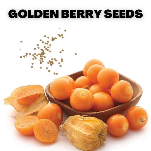 Goldenberry Orange Seeds | Daraz.lk