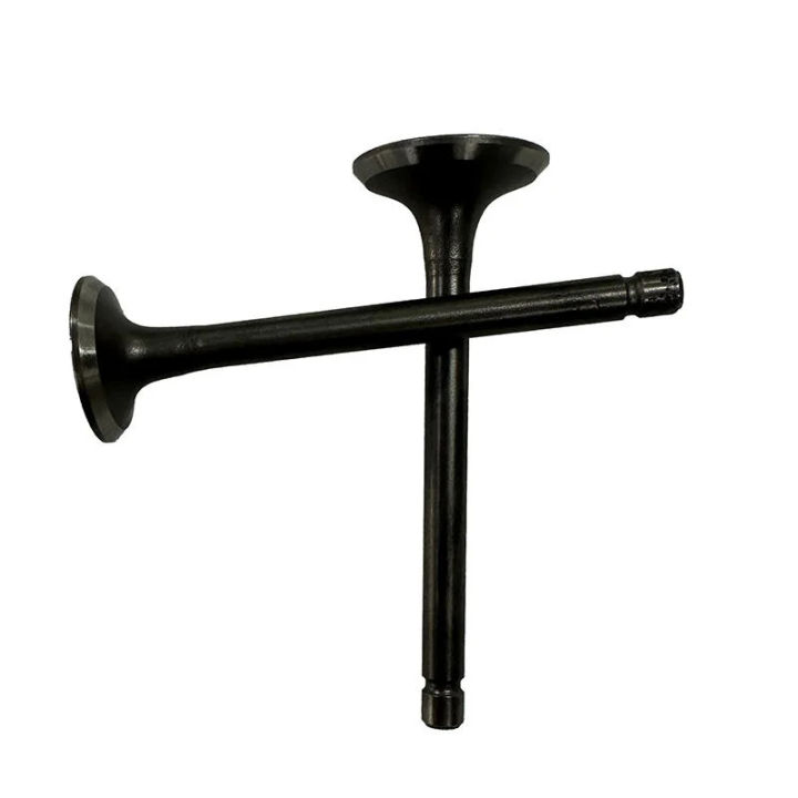 High Quality Motorcycle Spare Parts for for Bajaj CT100 Engine Valve ...