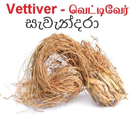 Vetiver roots - 100g ( සැවැන්දරා | வெட்டிவேர் ) | Daraz.lk