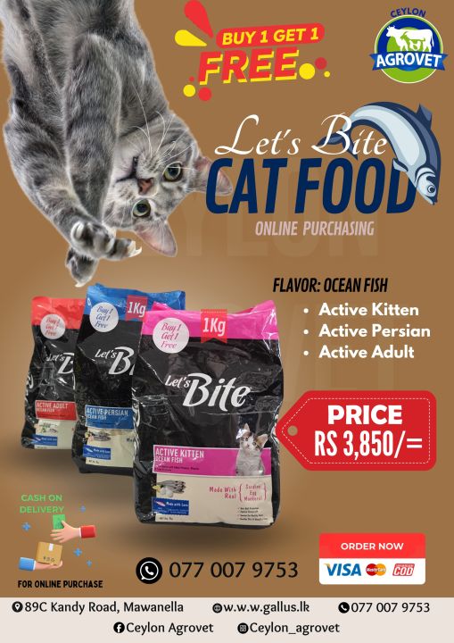 Lets Bite Cat Food buy 1kg & get 1 kg free l Adult Lets bite cat food ...