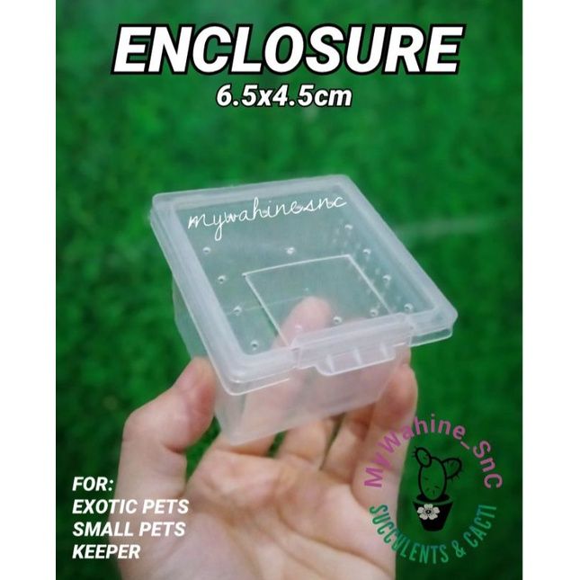 ENCLOSURE PET REPTILE TARANTULA PET PLASTIC TRANSPARENT KEEPER | Daraz.lk