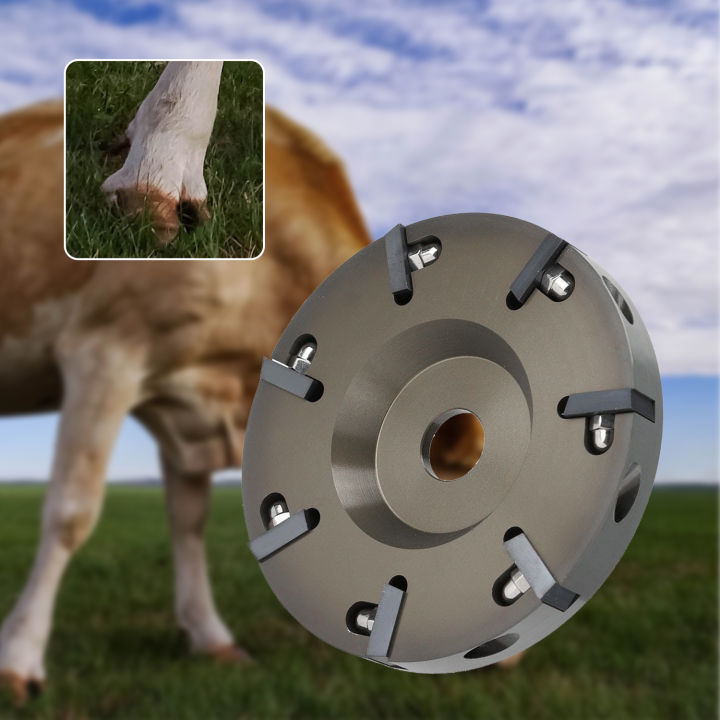 KOGEEK Electric Hoof K-nife Tool Aluminium Alloy Farrier Tools ...