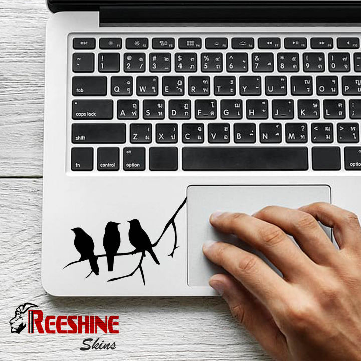 Laptop trackpad sticker for (15.6,14,13.6 inches) | Daraz.lk