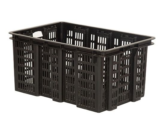 Daxer Plastic Vegetable Crate-DVC 001 | Daraz.lk