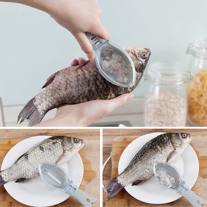 Kitchen Tool - Plastic Fish Scale Scraper | Daraz.lk