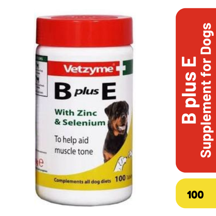 Vetzyme Dog Vitamins & Supplement (B Plus E With Zinc & Selenium ...