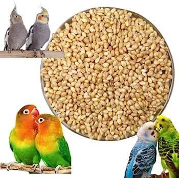 Bird Food (Bajiri) 250g | Daraz.lk