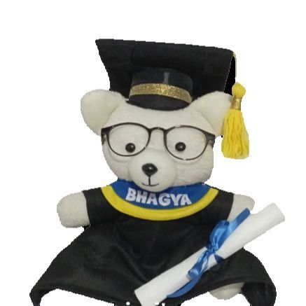Graduation Teddy Bear, Personalized Graduation teddy bear. | Daraz.lk