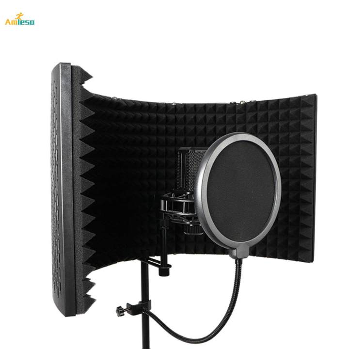 Microphone Vocal Recording Panel for Recording Equipment | Daraz.lk