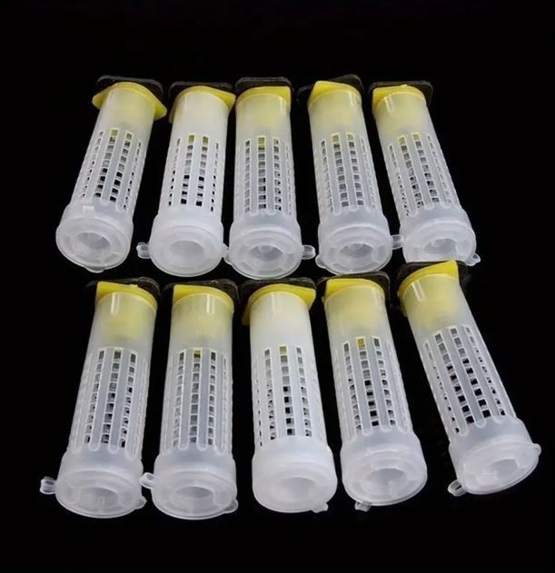 Plastic Queen Bee Rearing Cup Kit Queen Bee Cages Beekeeping Tool Queen ...