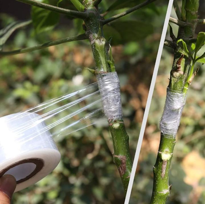 Grafting Tape Strecth Self Adhesive Parafilm Pruning Strecth Film for ...
