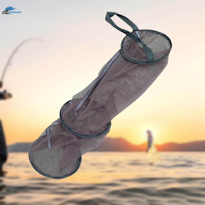 Live Keep Net Portable Fishing for Crayfish Keeping | Daraz.lk