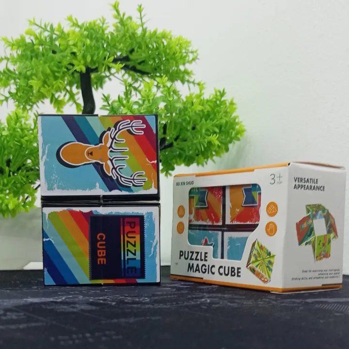 BO XIN SHUO Puzzle magic Cube Puzzle Gift Kids Thinking Trainer | Daraz.lk