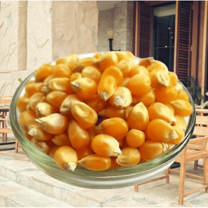 Pop Corn Seeds ( 1 kg ) | Daraz.lk