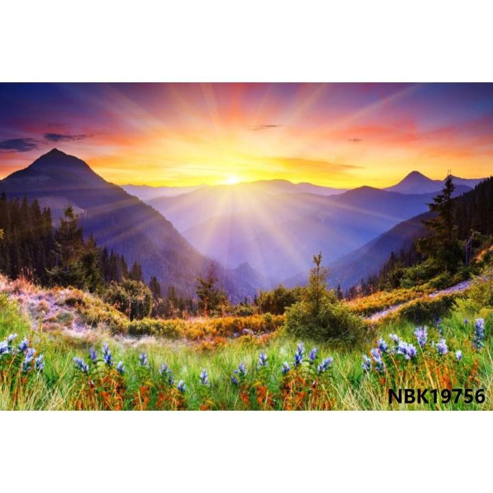 Mountain Sky Clouds Flowers Waterfall Nature Scenery Baby Portrait ...