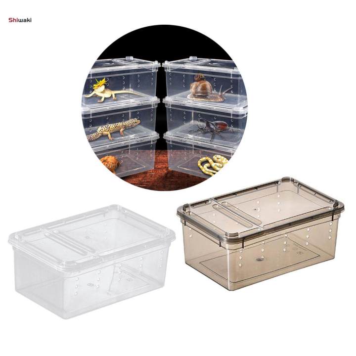 Reptile Feeding Box Durable Snake Breeding Box for Scorpion Beetle ...