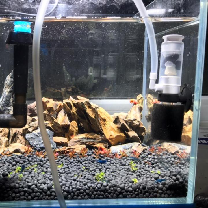Silent Mini Water Pneumatic Filter For Fish Bowl Aquarium Accessories ...