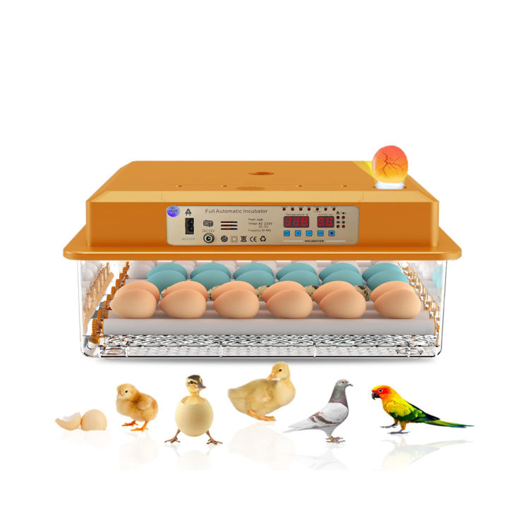 36 Egg Incubator Fully Automatic (new) Orange | Daraz.lk