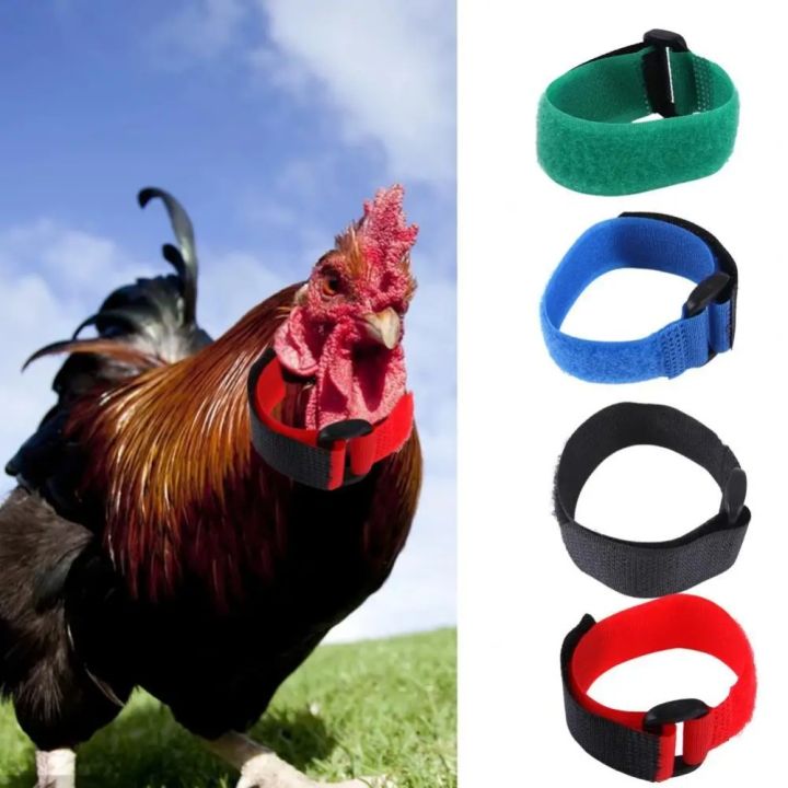 2 pcs Neckband No Noise Rooster Neck Belt Anti-crowing Adjustable Nylon ...