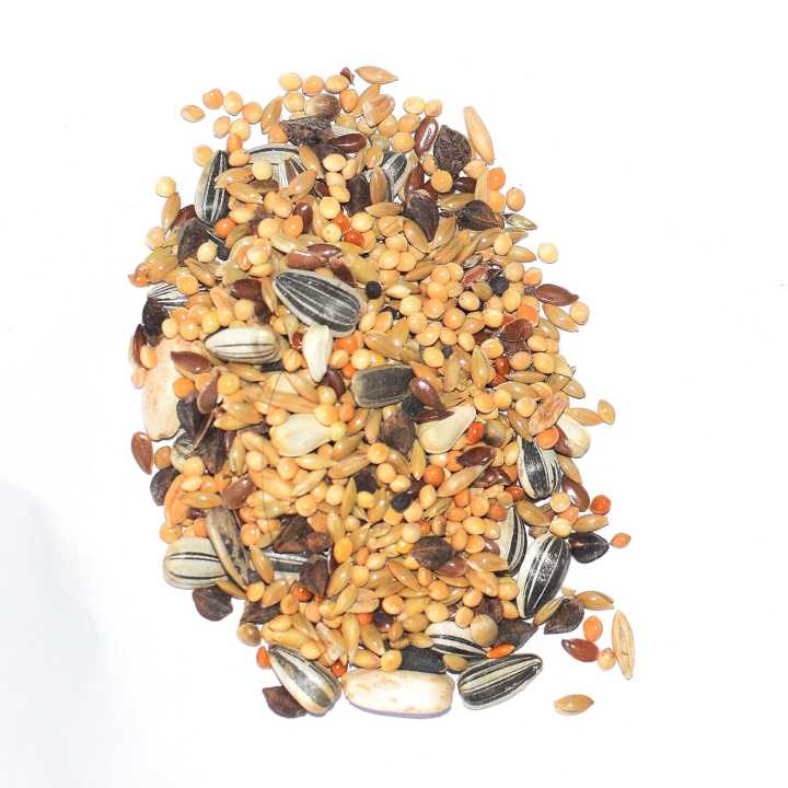 Parrot Mix Bird Food | Daraz.lk