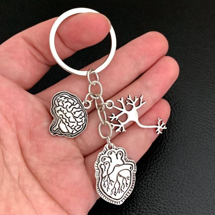 1 Piece Keychain Medical Anatomy Key Brain Heart Nerve Cell Shaped ...