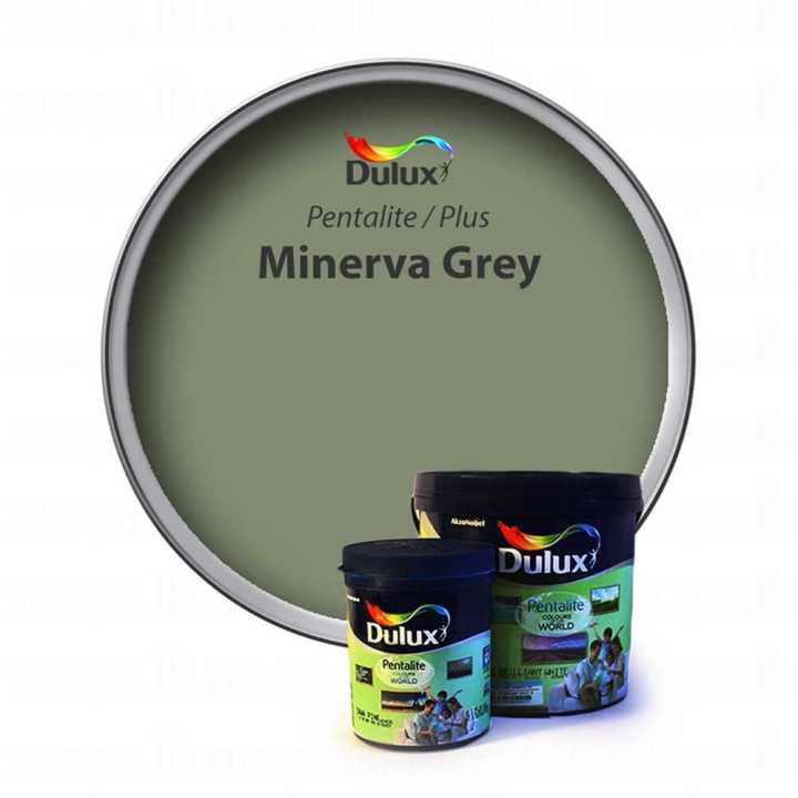 Pentalite Hyginene+ (Interior Emulasion) - Minerva Grey - 1L | Daraz.lk