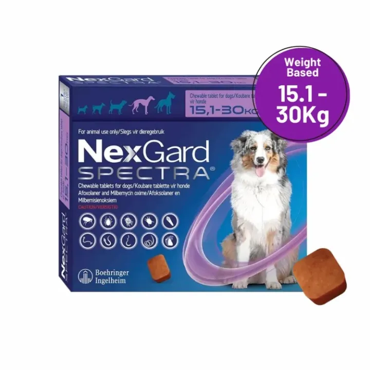 NEXGARD Spectra Dog Chews Chewable 75mg (1 Tablet) for Large Dogs 15 ...