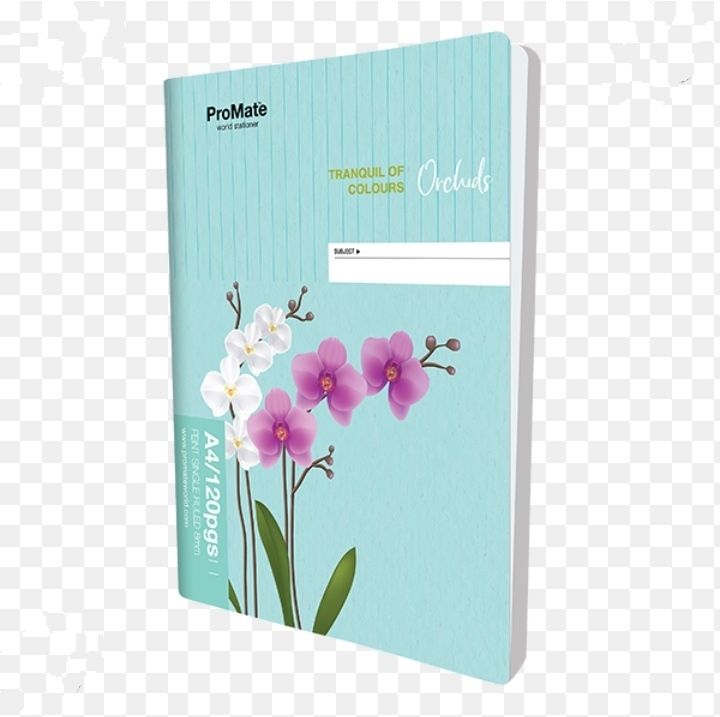 Promate Square Ruled Exercise Book 120 Pages | Daraz.lk