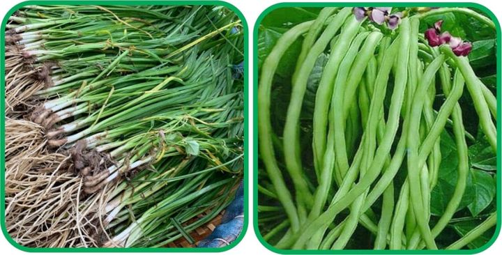 Aero Seeds Lobiya (30 Seeds) And Garlic Chives (50 Seeds) Vegetable ...