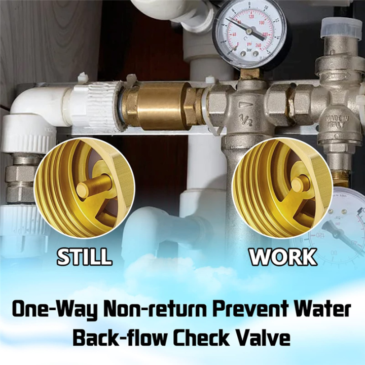 2PCS 3/4 Inch NPT Female Thread Spring Check Valve, Solid Brass Non ...