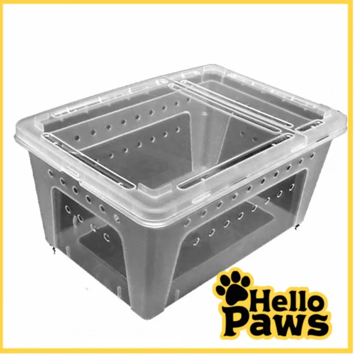 ♟ ☢Hello Paws Basic Durable Reptile, Spider, Tarantula Terrarium and ...