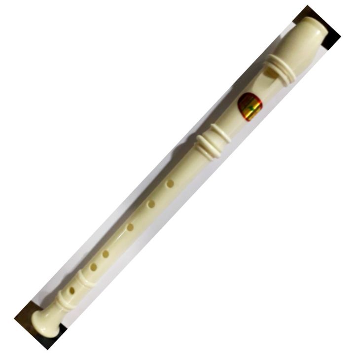 Plastic Flute Flageolet Musical Instrument | Daraz.lk