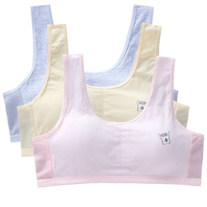 3pcs/lot 2024 Small Bras For Teenage Girls Development Period Gir No ...