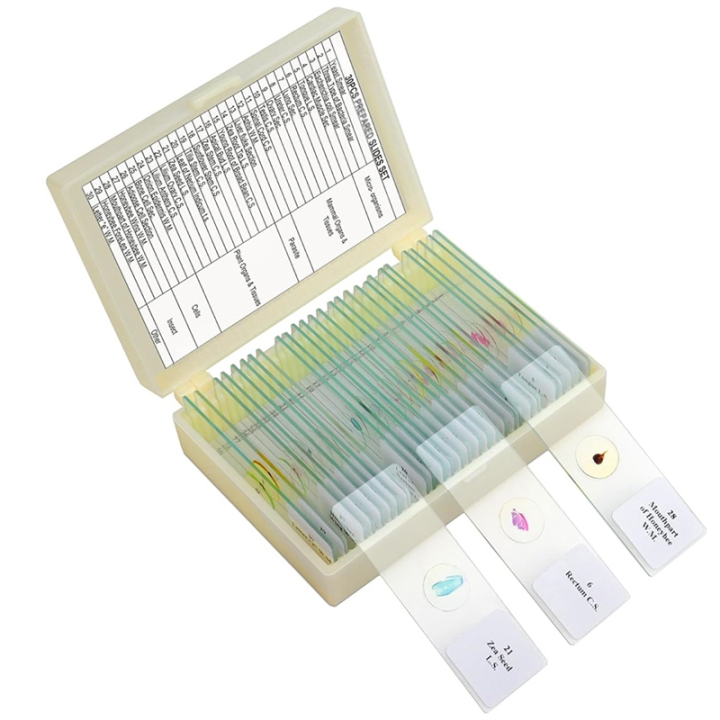Children'S Microscope Slides, Glass Prep Slides for Microscope ...