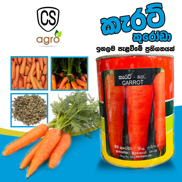 Onesh Carrot New Kuroda, 250g Seeds | Daraz.lk