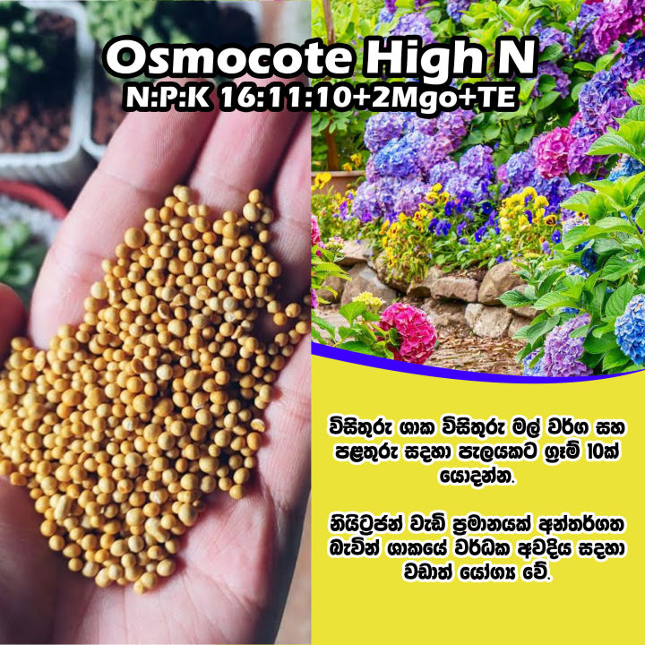 Osmocote High N N:P:K 16:11:10+2Mgo+TE 1kg Fertilizer Home Gardening ...