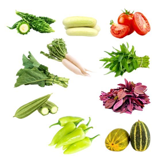 A pack of 10 varieties of vegetable Seeds for home garden Bitter Gourd ...