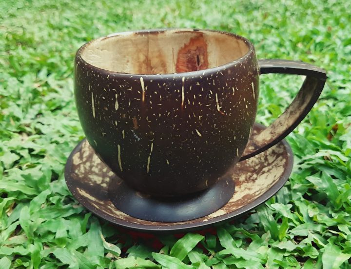 Coconut Shell Cup | Daraz.lk: Buy Online at Best Prices in Srilanka ...