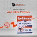 Good Morning Ant Killer Spray Powder, No Smell & Highly Effective (Pack ...