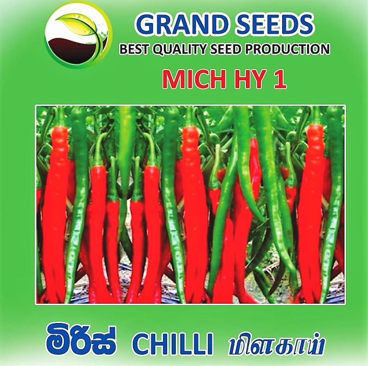 MICH HY 1 Hybrid Registered High quality chilli Seeds for Gardening ...